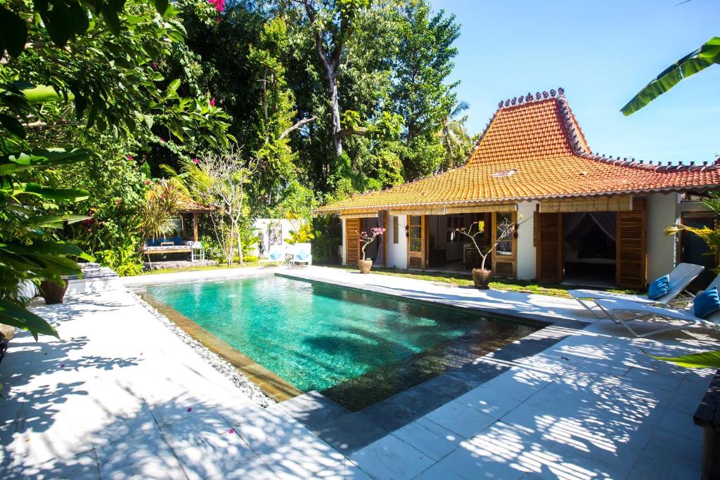 Lata Lama, Lovina (updated prices 2025)