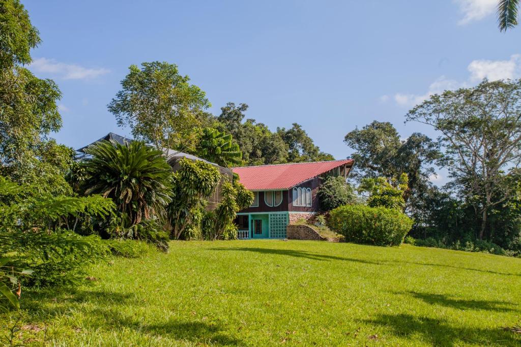 Banana Bank Lodge & Jungle Horseback Adventures, Belmopan (updated ...