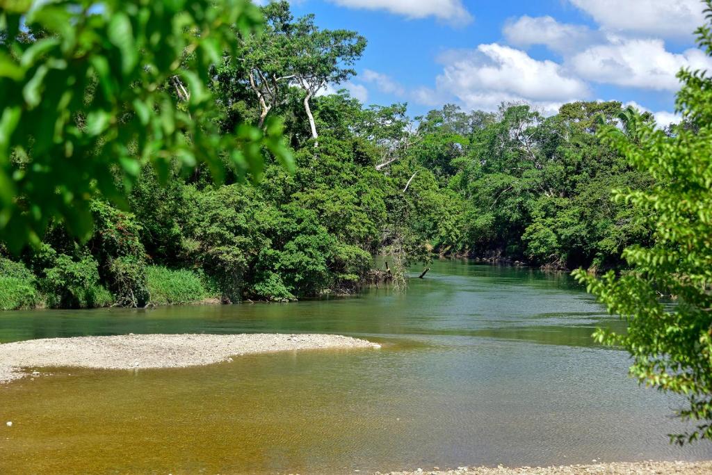 Banana Bank Lodge & Jungle Horseback Adventures, Belmopan (updated ...
