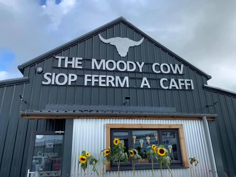 Bargoed Farm | Campsite in Bargoed farm llwyncelyn, United Kingdom