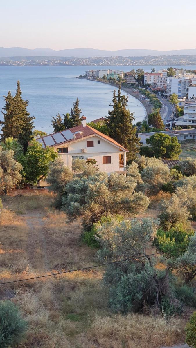 Lefkandi sea view - Lefkandi chalkidas