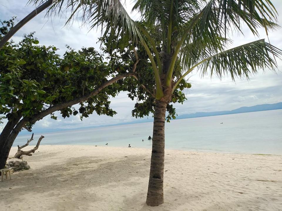 Badian Lambug Beach Beachfront Native Huts - Badian