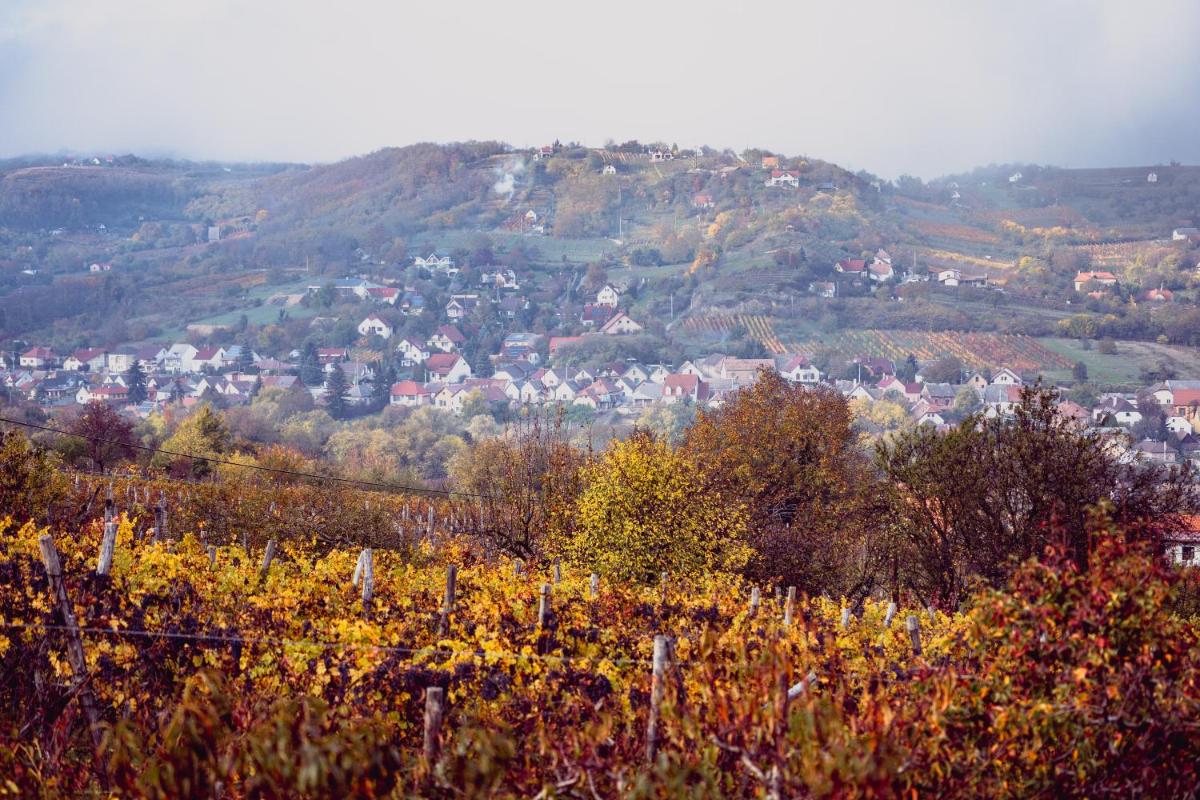 Barbár Borbár - Housity