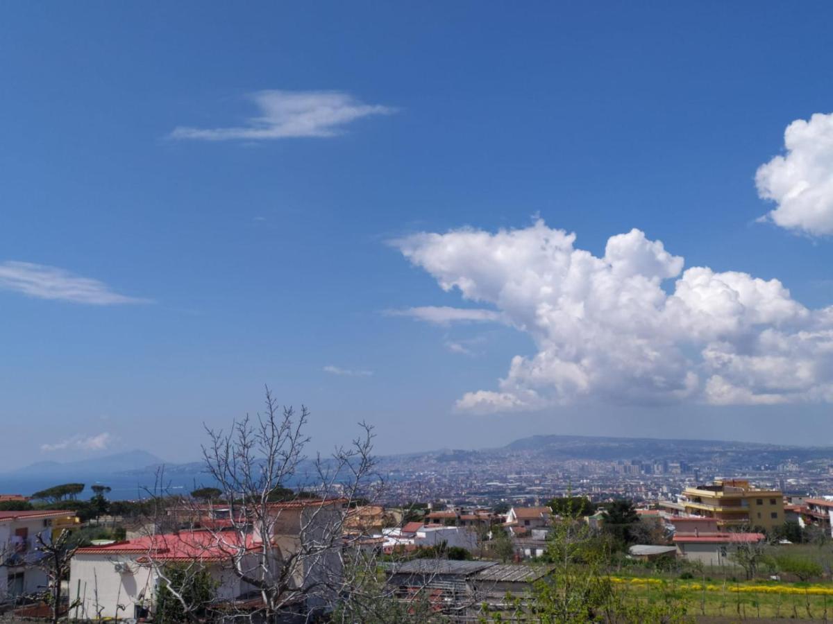 L'orto del Vesuvio di Laura Guidone - San sebastiano al vesuvio