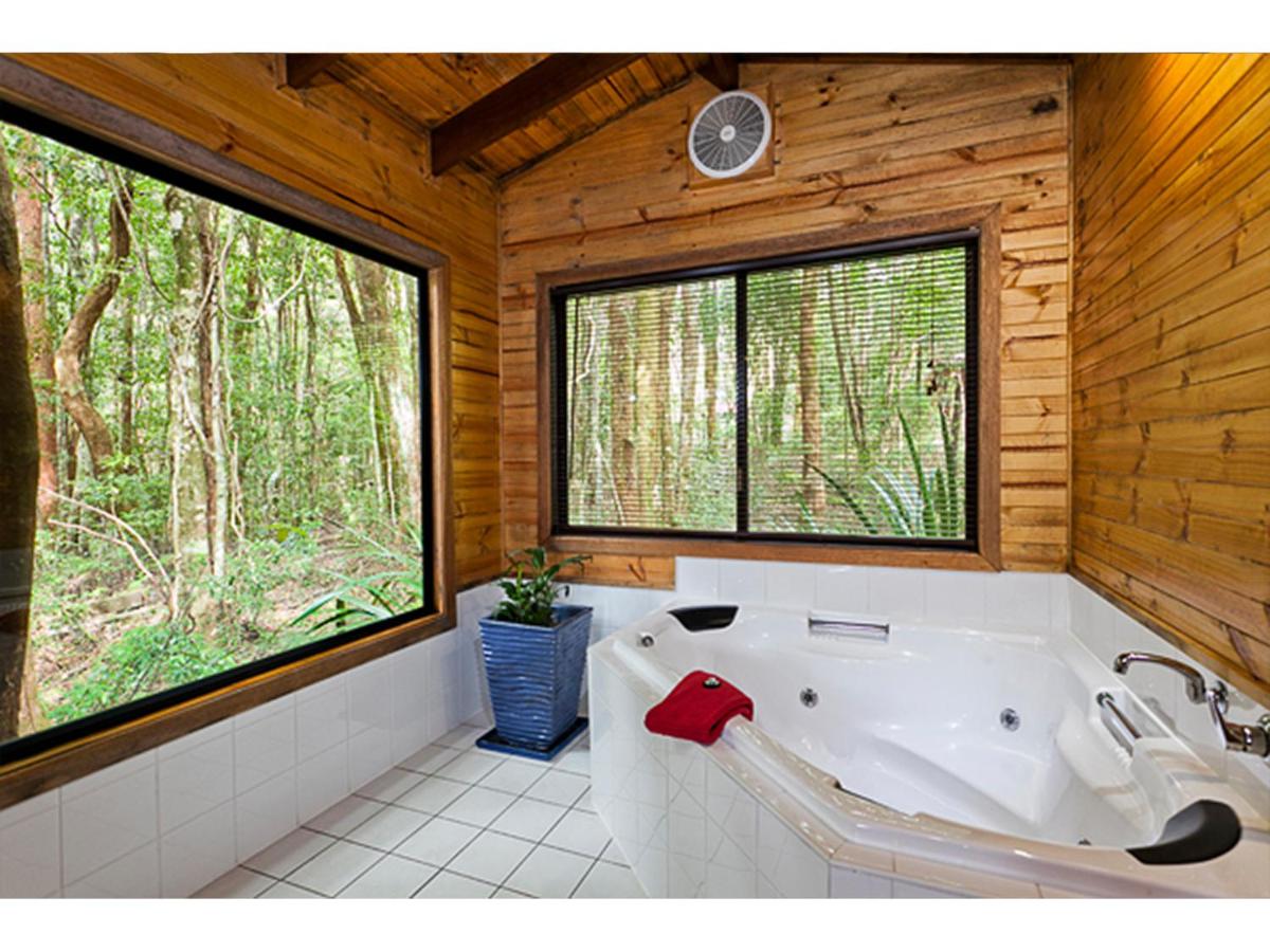 The Mouses House Rainforest Retreat - Springbrook