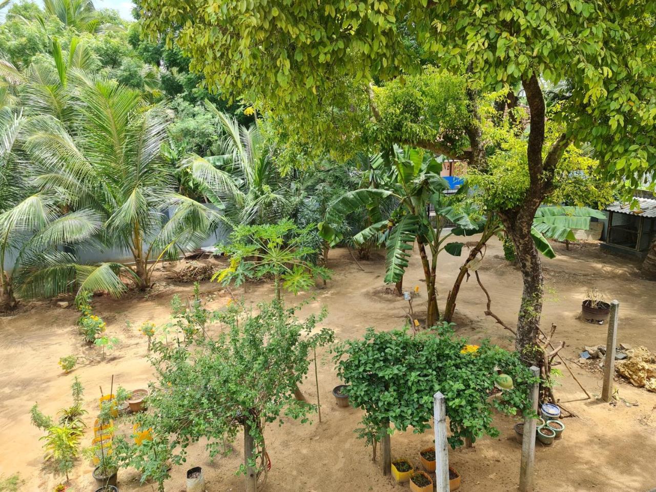 Nalluran illam - Housity