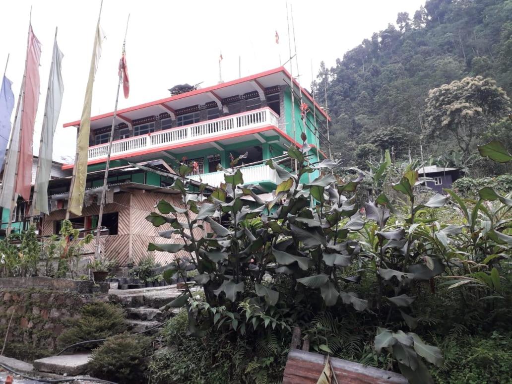 24 Homestays In Zuluk