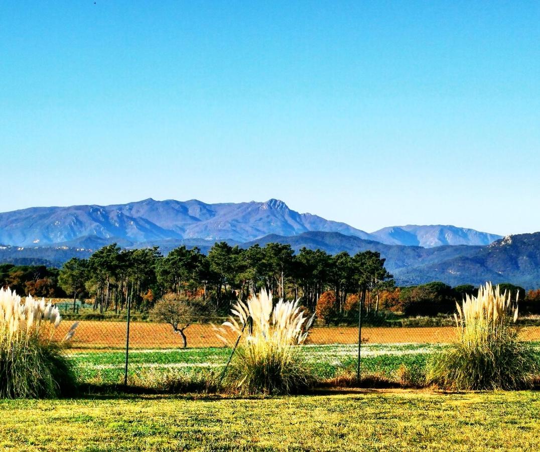 Hoteles cerca de la Discoteca Millennium - Cosmic Club, Girona - minube