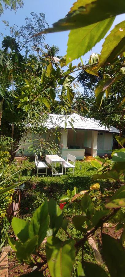 30 Homestays In Varkala (2023) | Updated Deals, Latest Reviews, Photos