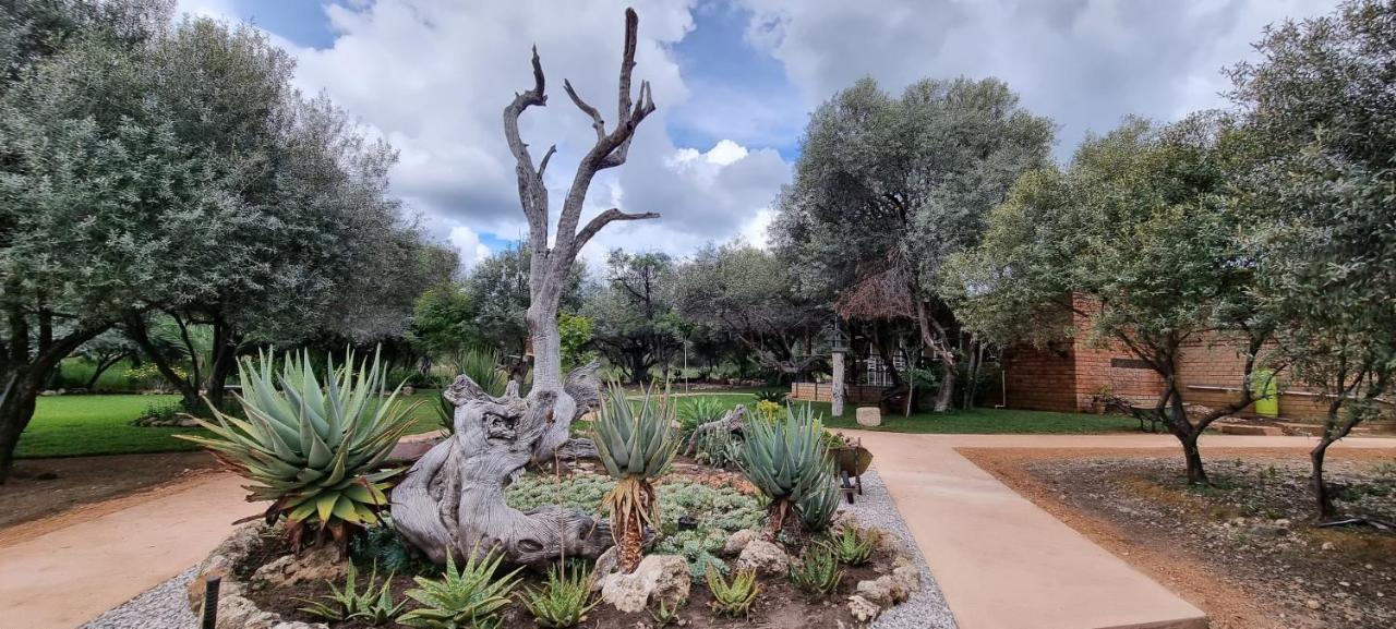 Omalanga Lodge, Otavi, Namibia