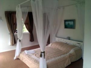 Sailor's Rest, Kampung Janda Baik (updated prices 2025)