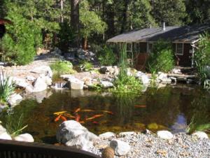 Silver Pines Lodge, Idyllwild (updated prices 2025)