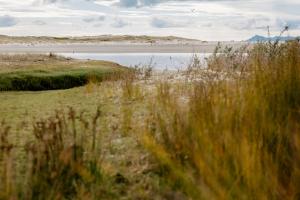 Pakiri Beach Holiday Park, Pakiri (updated prices 2025)