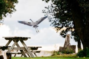 Pakiri Beach Holiday Park, Pakiri (updated prices 2025)