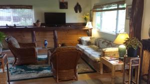 Robbrecht Troost Pottery, Pahoa