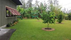 Robbrecht Troost Pottery, Pahoa (updated prices 2025)