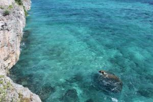 Amatoa Resort, Bira (updated prices 2025)
