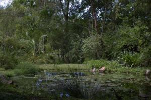 Four Fields Farm, The Crags (updated prices 2025)