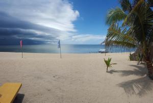 Arena Island Resort, Narra (updated prices 2025)