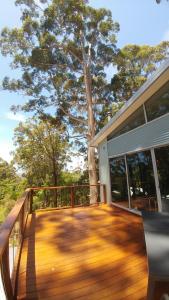 The Tree House, Denmark (updated prices 2025)