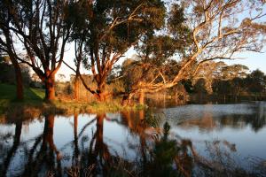 Quamby Homestead, Woolsthorpe (updated prices 2025)