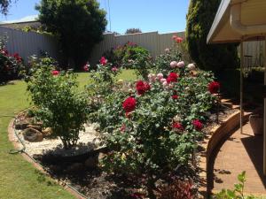 Murdoch Station Bed & Breakfast, Perth (updated prices 2025)