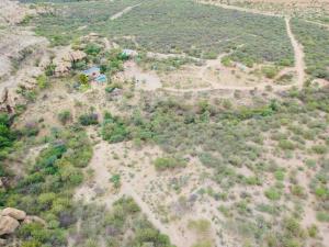 Sasa Safari Camp & Tours, Outjo (updated prices 2025)