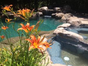 Lazy Z Resort, Twain Harte – Updated 2023 Prices