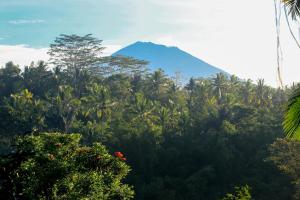 The Payogan Villa Resort and Spa, Ubud – Updated 2024 Prices