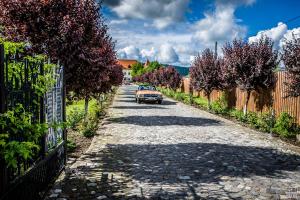 Castel Haller, Ogra (prețuri actualizate 2025)