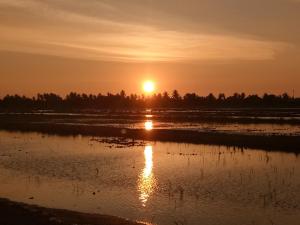 Kurau Inn Boutique Farmstay, Kuala Kurau (updated prices 2025)