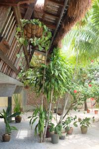 Panji Panji Tropical Wooden Home, Pantai Cenang (updated prices 2025)