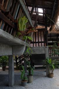 Panji Panji Tropical Wooden Home, Pantai Cenang (updated prices 2025)