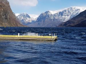 Flåm Marina, Flåm (updated prices 2025)