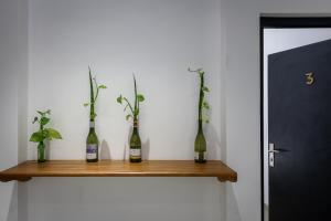 Fern Colombo, Colombo (updated prices 2025)