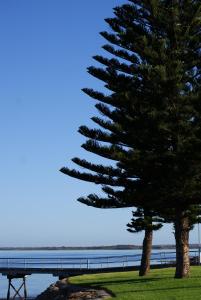 Ceduna Motor Inn, Ceduna (updated prices 2025)