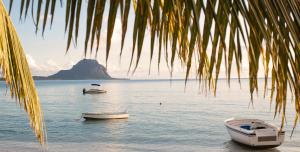 La Mariposa Mauritius, Rivière Noire – Aktualisierte Preise für 2024