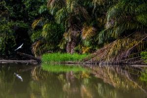 Casa Grande at Pacuare Reserve, Matina (updated prices 2025)