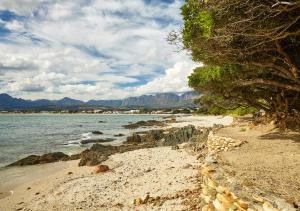 First Group Cape Gordonia, Gordonʼs Bay (updated prices 2025)