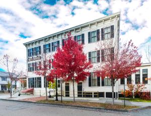 Hotel Fauchere, Milford (updated prices 2025)