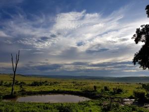 Nambiti Plains, Nambiti Game Reserve – Updated 2023 Prices
