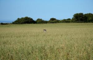 Finca Atalis - Adults Only, Santo Tomás (updated prices 2025)