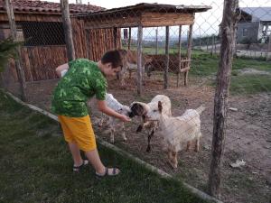 Seven Generations Winery Hotel, Mechka (prețuri actualizate 2025)