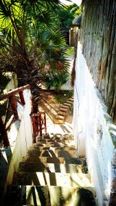 Diani Hostel, Diani Beach (updated prices 2025)