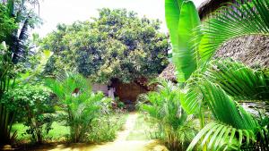 Diani Hostel, Diani Beach (updated prices 2025)