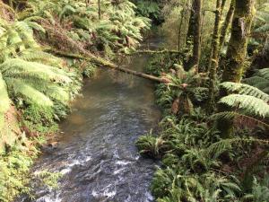 Colac Central Motel, Colac (updated prices 2025)