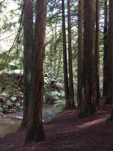 Colac Central Motel, Colac (updated prices 2025)