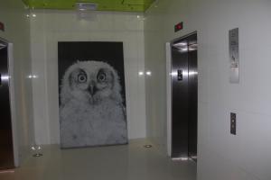 Luxury 5-star Condo @37th floor in Icon Brickell 2b/2b, Miami (updated ...