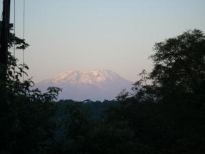 Arusha Villa Karamu Coffee Estate, Usa River (updated prices 2025)