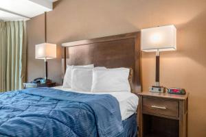Rodeway Inn, Chicago (updated prices 2025)